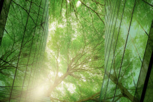 Cssb Home Page - CSSB